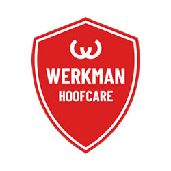 Werkman Hufeisen kaufen